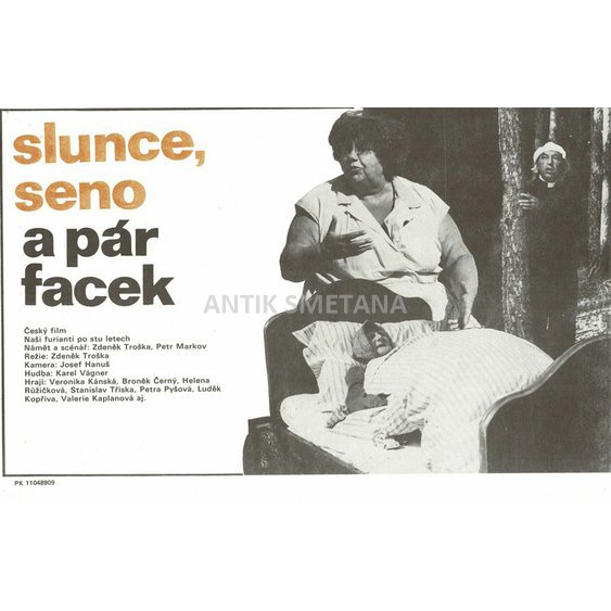 Filmový plakát A4 - Slunce, seno a pár facek