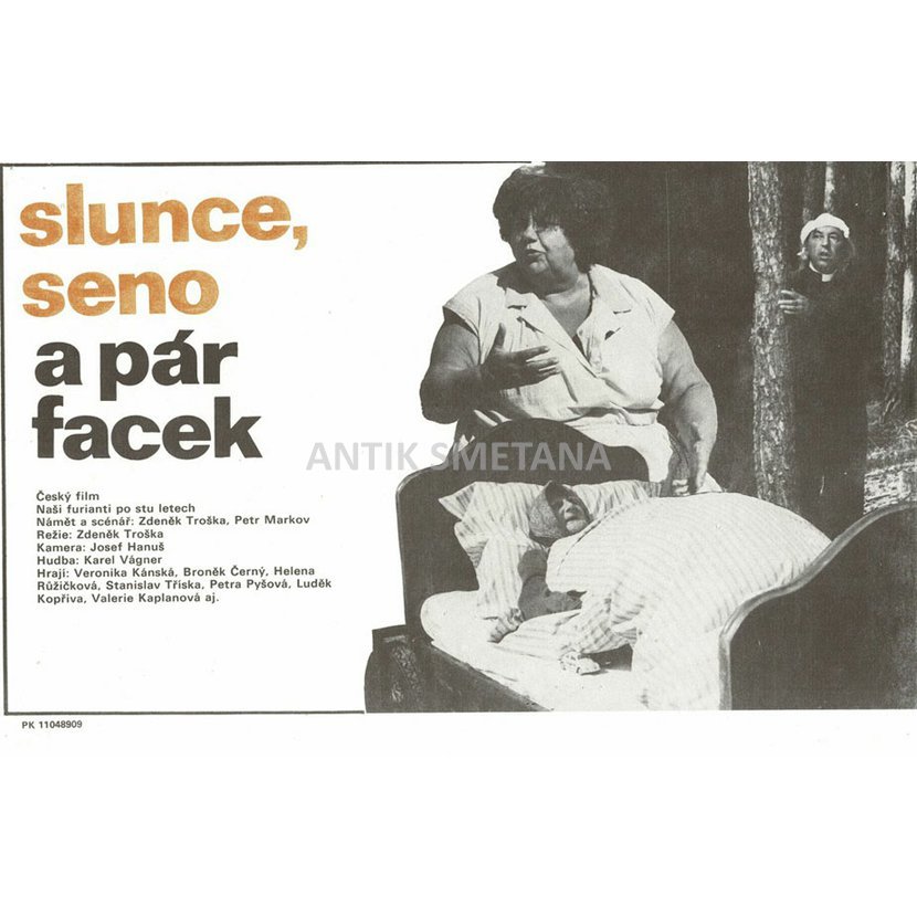 Filmový plakát A4 - Slunce, seno a pár facek